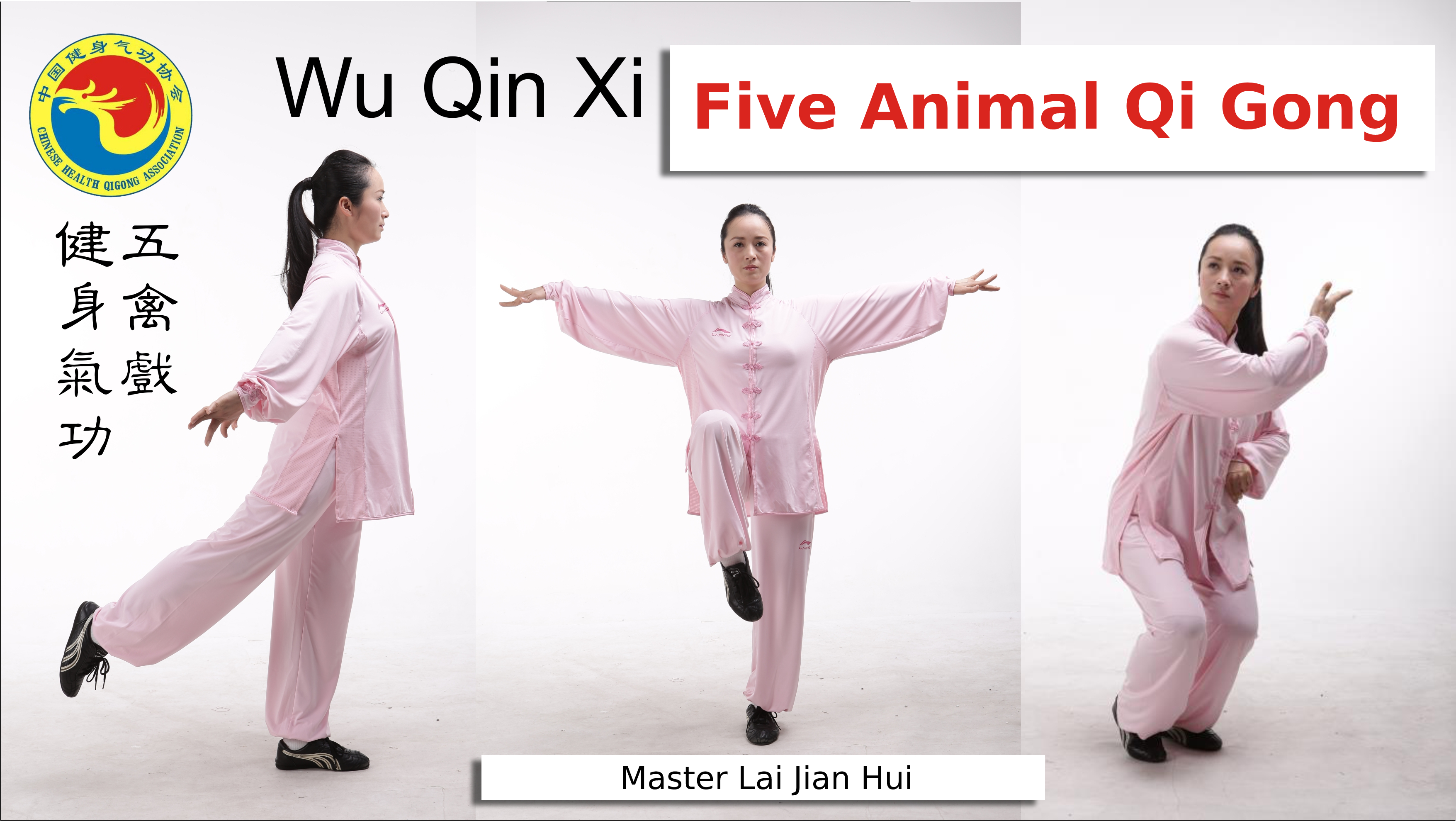 5 Animal Qi Gong – Wuji Tai Chi & Qi Gong